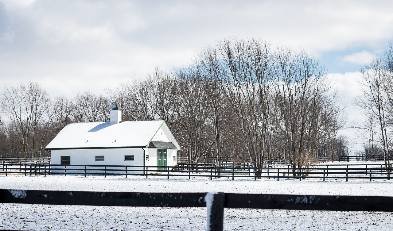 About The Farm